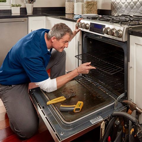 Premier Denver Solutions: A DIY Viking Oven Repair Guide - Viking ...